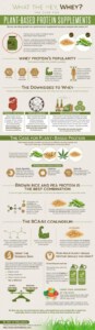 Infographic: Plant Based Protein Supplements - NutriFusion