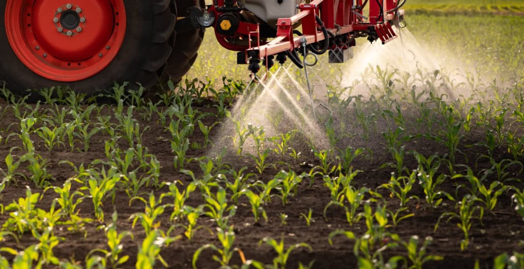 Fruits & Vegetables: How Pesticides Are Affecting Our Health